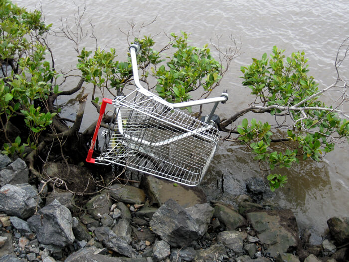 Abandoned trolleys: a headache among Australian communities - MECO6925 ...