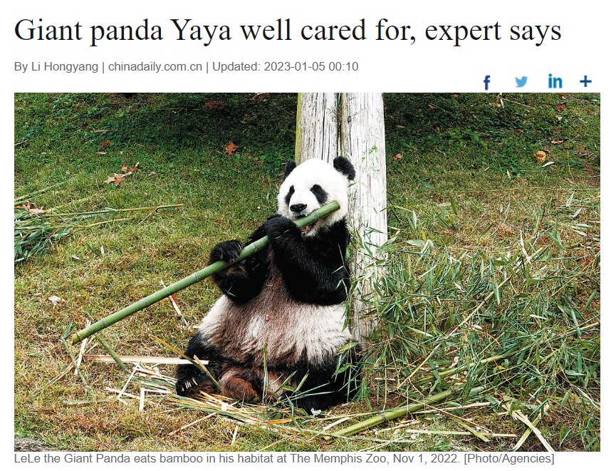 Giant panda Yaya well cared for, expert says - MECO6925 Online Journalism