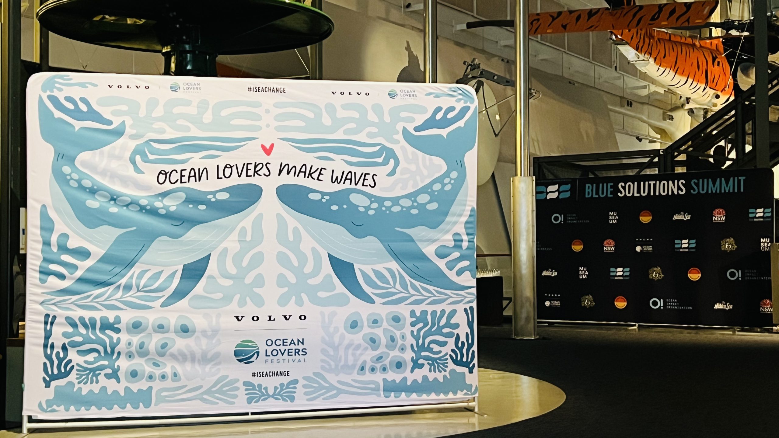 How to better protect our Oceans: The importance of the annual Ocean ...