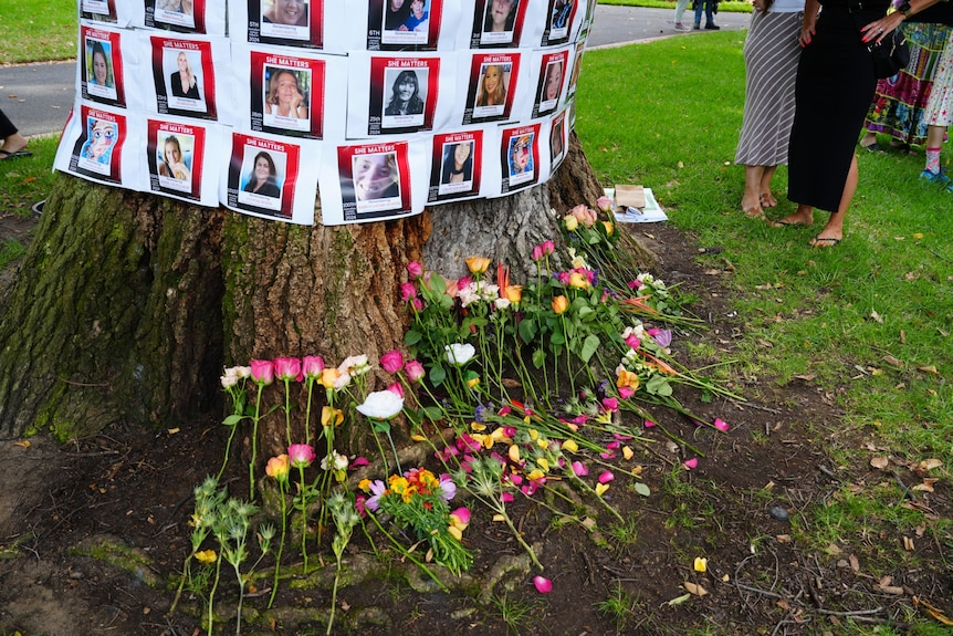 STRUGGLING IN SILENCE: THE MENTAL HEALTH CRISIS AMONG AUSTRALIAN ...